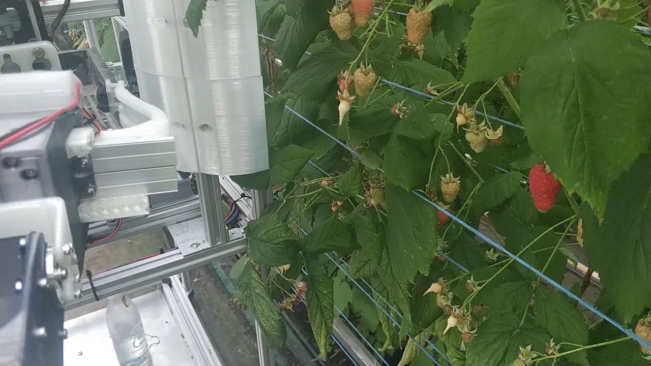 Fieldwork completes initial field trials of raspberry harvesting robot ...